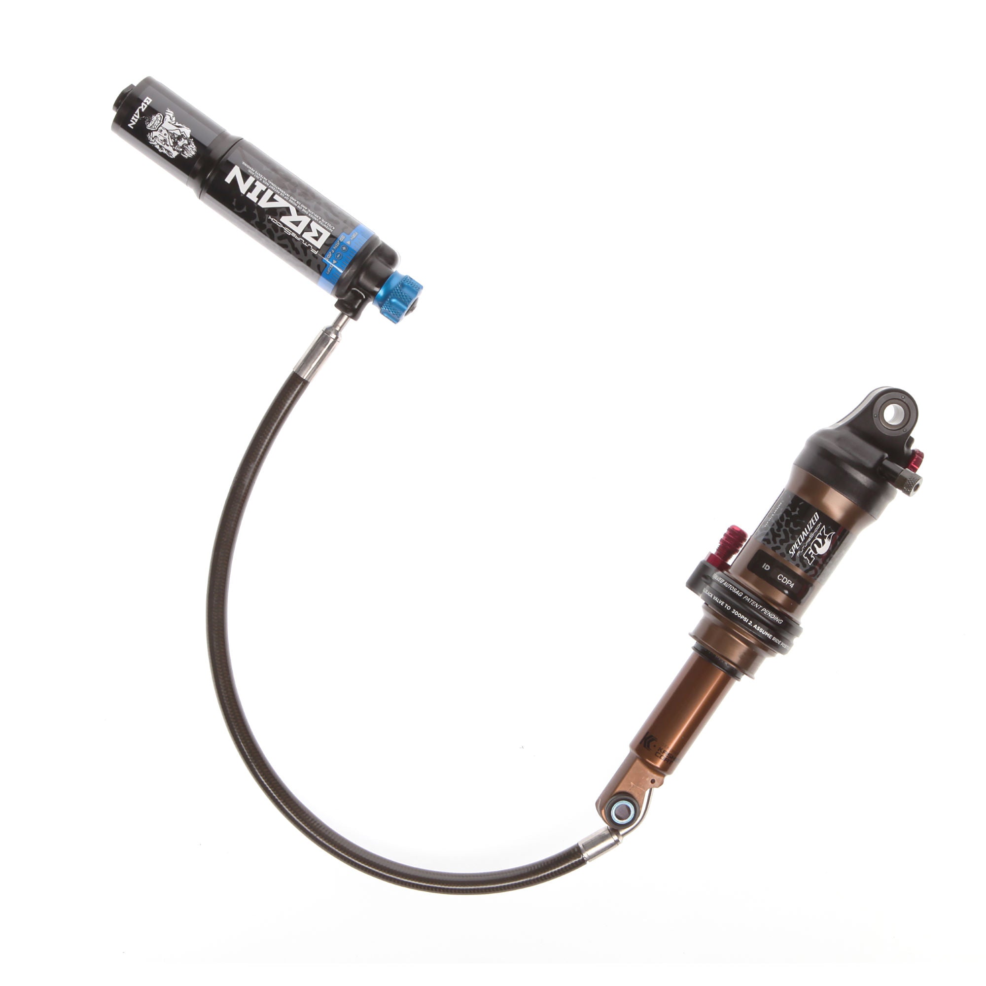 Fox Specialized Brain Service and maintenance – Flow Suspension